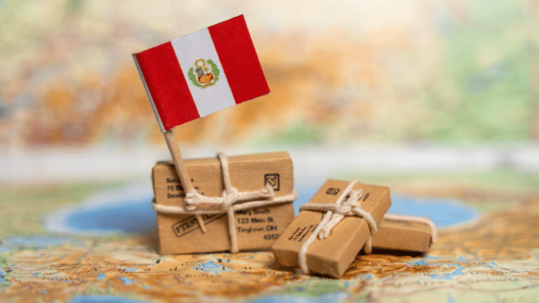 Economía del Perú 2024: Crecimiento, Avances y Desafíos